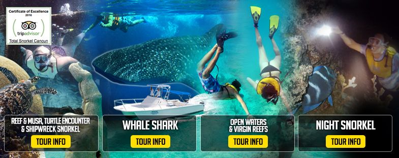 Cancun Snorkeling Tours | Totalsnorkelcancun.com