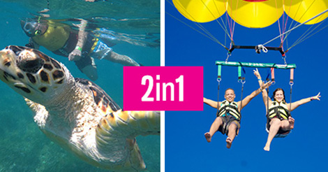 Swim and Fly Tour Package